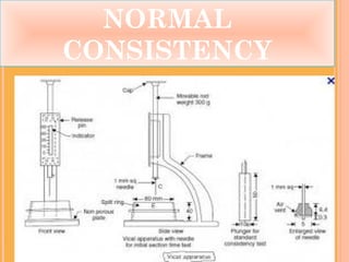Standard consistency | PPT