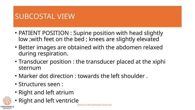 The standard echocardiography windows.pptx