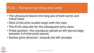 The standard echocardiography windows.pptx