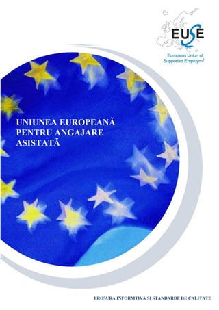 Standarde de calitate in aa (euse) | PDF