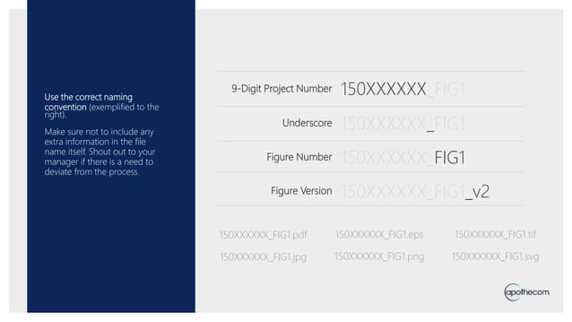 Standard figure redraw process: figure naming | PPT