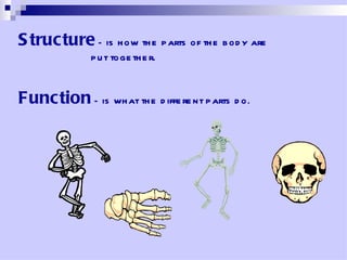 Standard grade structure and function | PPT
