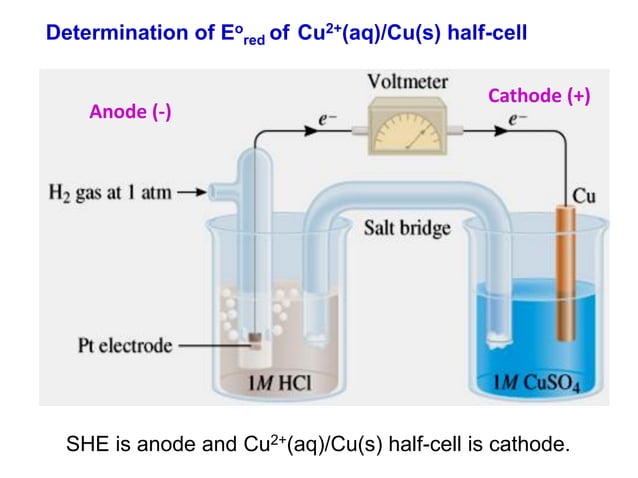 Standard Hydrogen Electrode SHE explaination | PPT