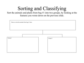 Standardindicator | PPT