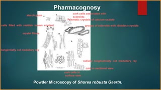 Standardisation and QC of Ayurvedic Drugs RARC Dimapur 04.03.2-23.pptx