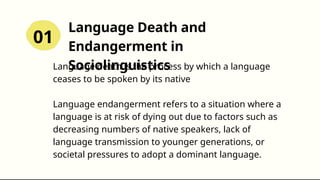 Standard and national language-in-Sociolinguistics (1).pptx
