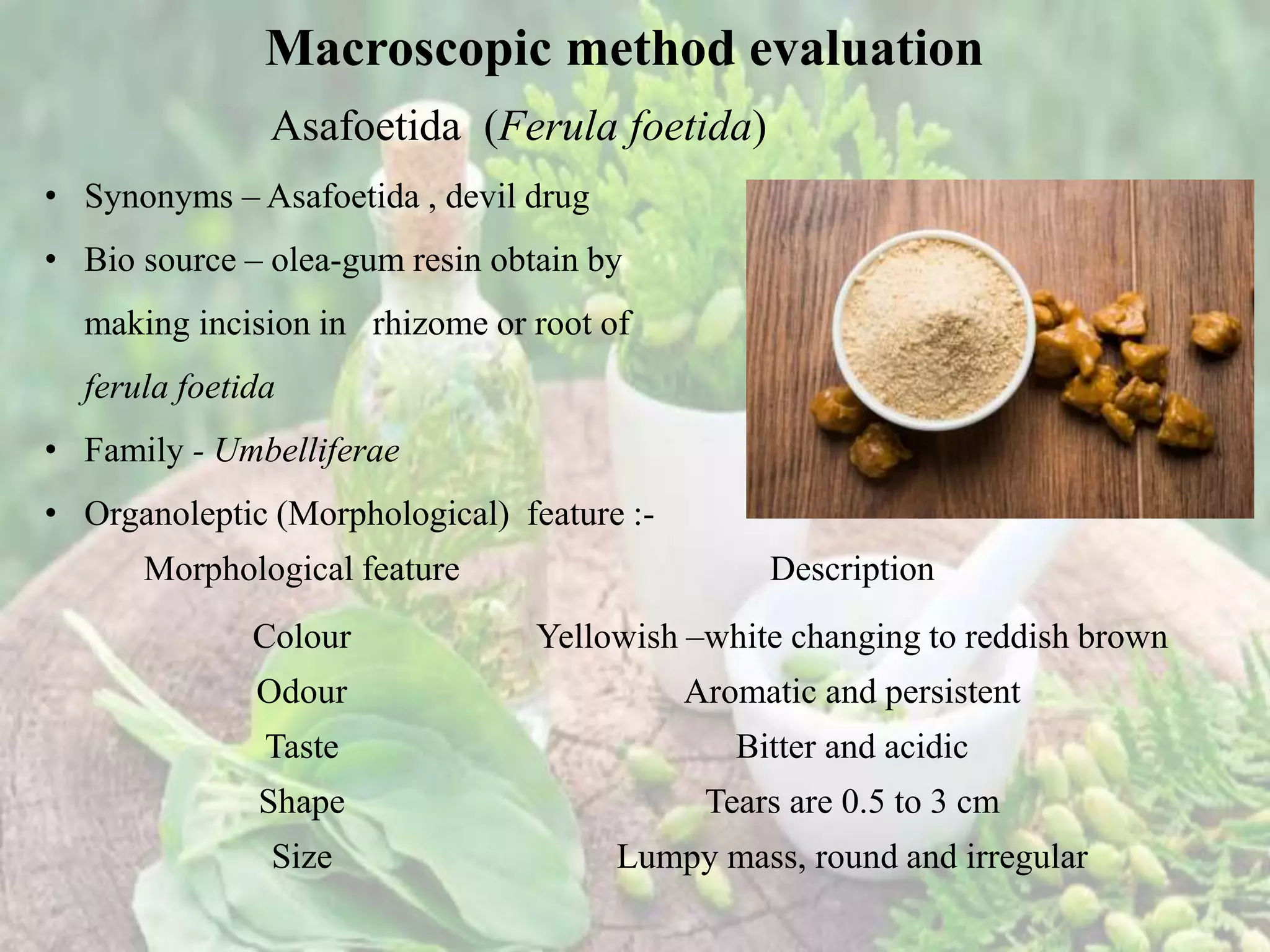 STANDARDIZATION AND QUALITY CONTROL OF HERBAL DRUGS.pptx