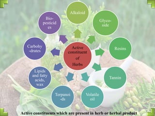 STANDARDIZATION AND QUALITY CONTROL OF HERBAL DRUGS.pptx