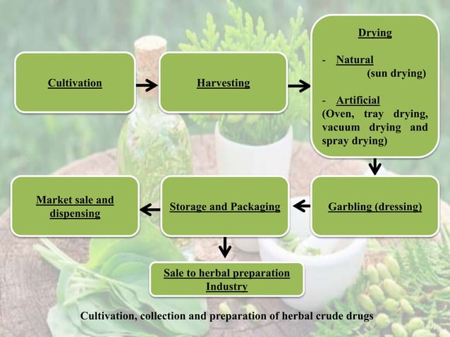 STANDARDIZATION AND QUALITY CONTROL OF HERBAL DRUGS.pptx