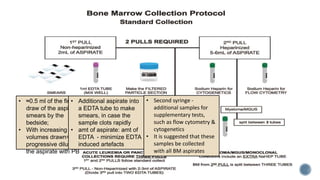 Standardization of bone marrow specimen processing ...