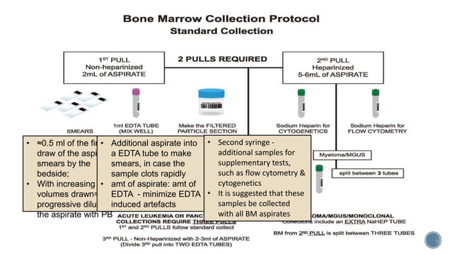 Standardization of bone marrow specimen processing ...