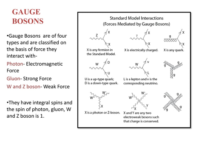 Standard model of particle physics | PPTX | Physics | Science