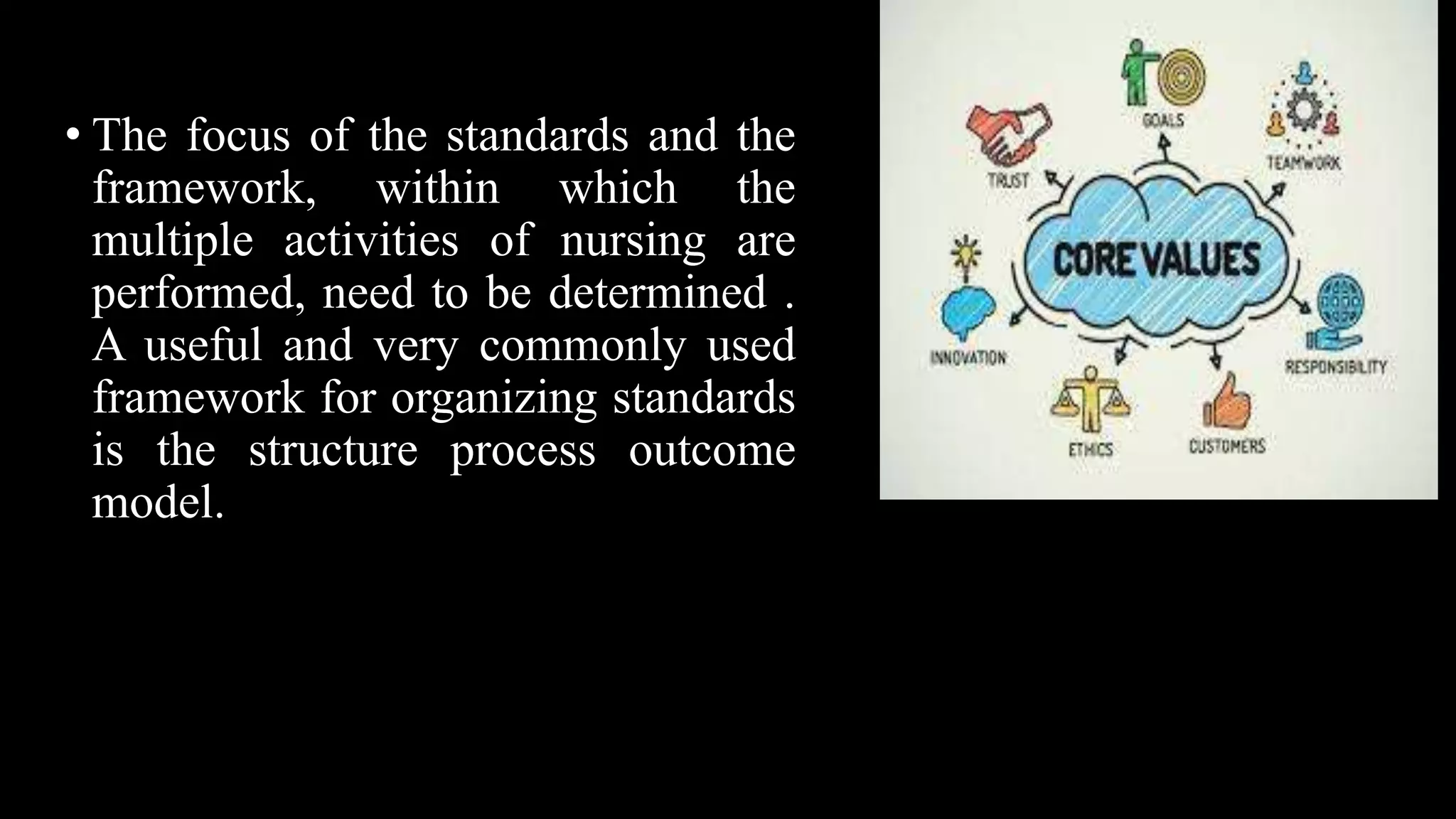 standards in nursing.pptx