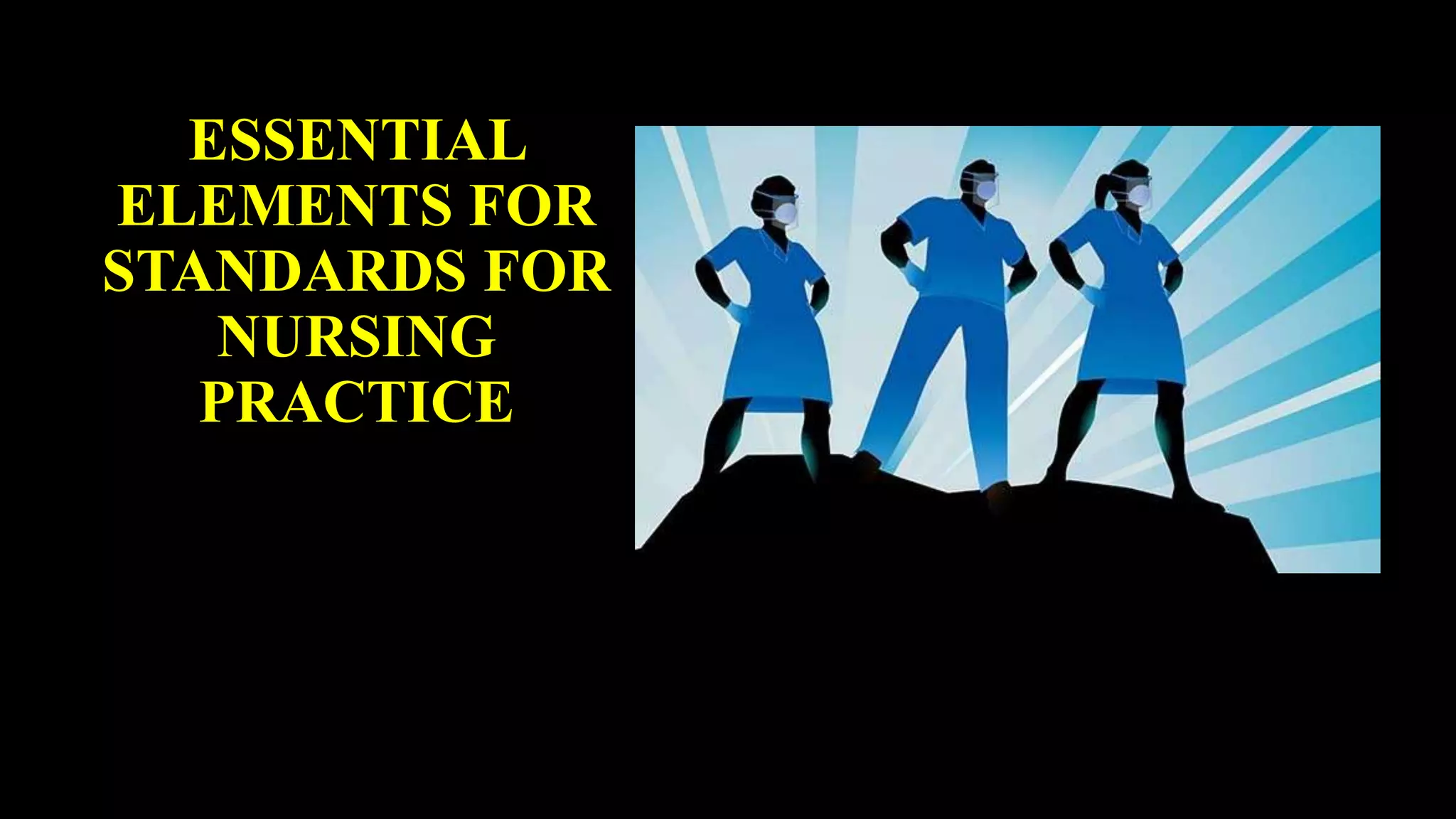 standards in nursing.pptx