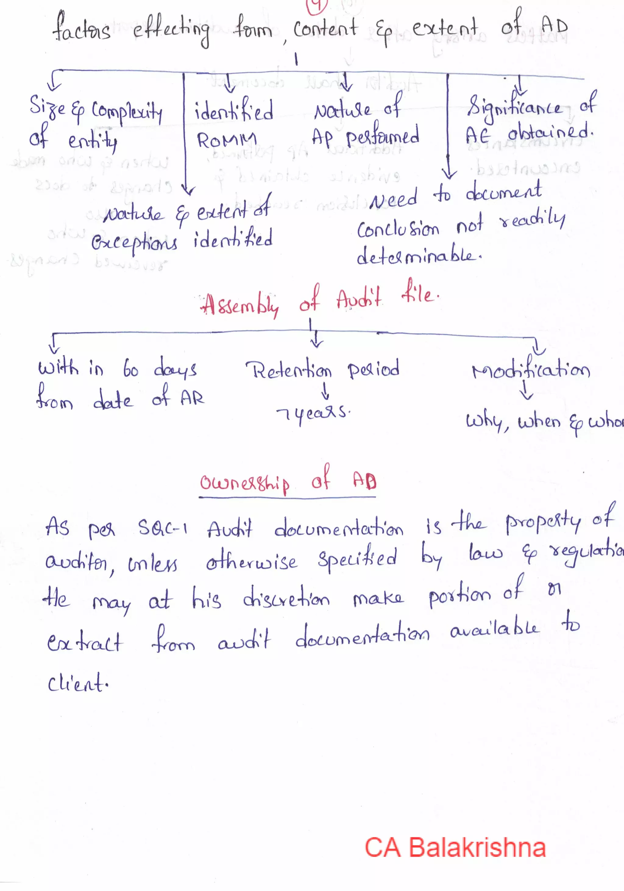 CA Final & Inter Standards on Auditing Handwritten Notes by CA ...