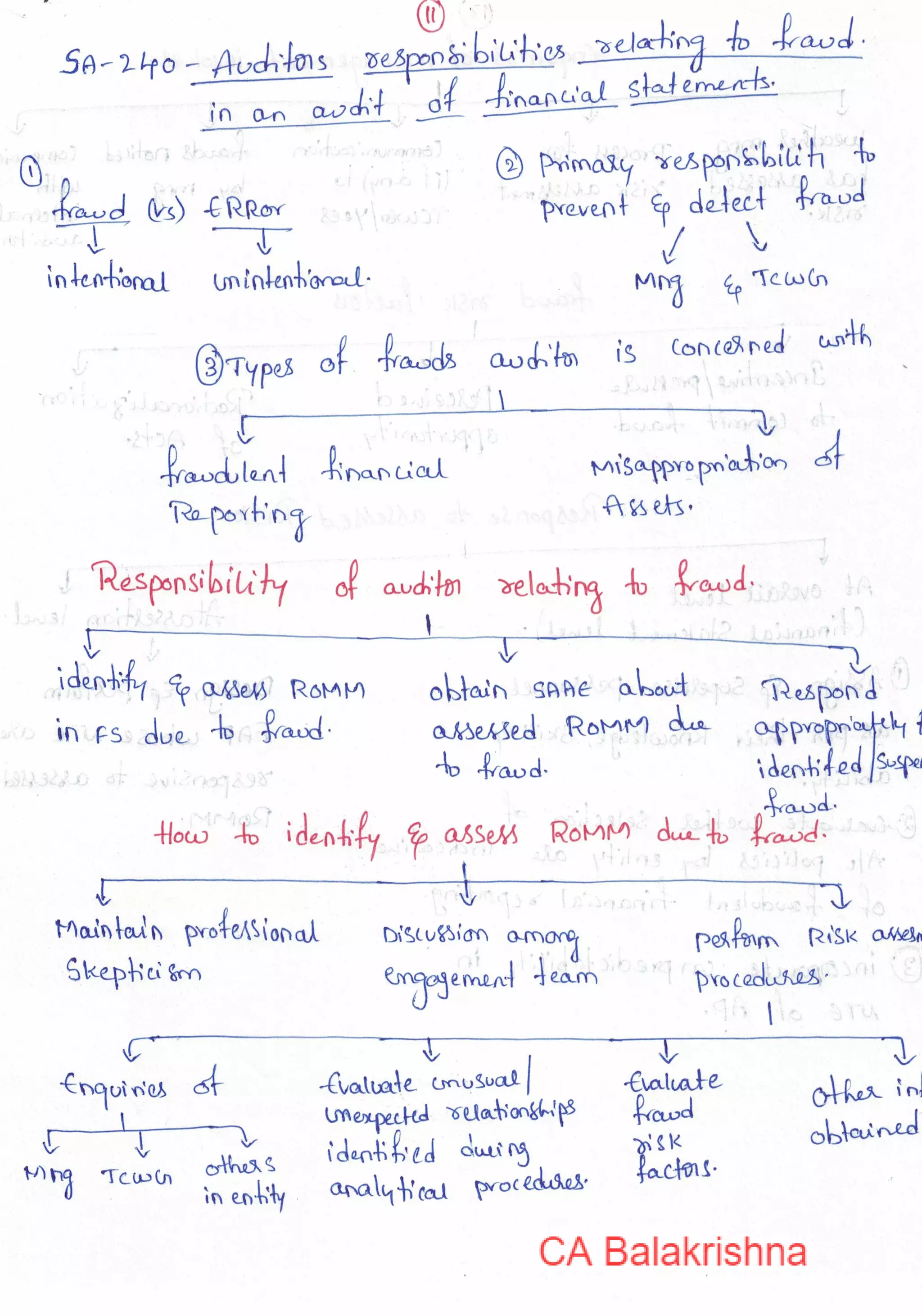 CA Final & Inter Standards on Auditing Handwritten Notes by CA ...