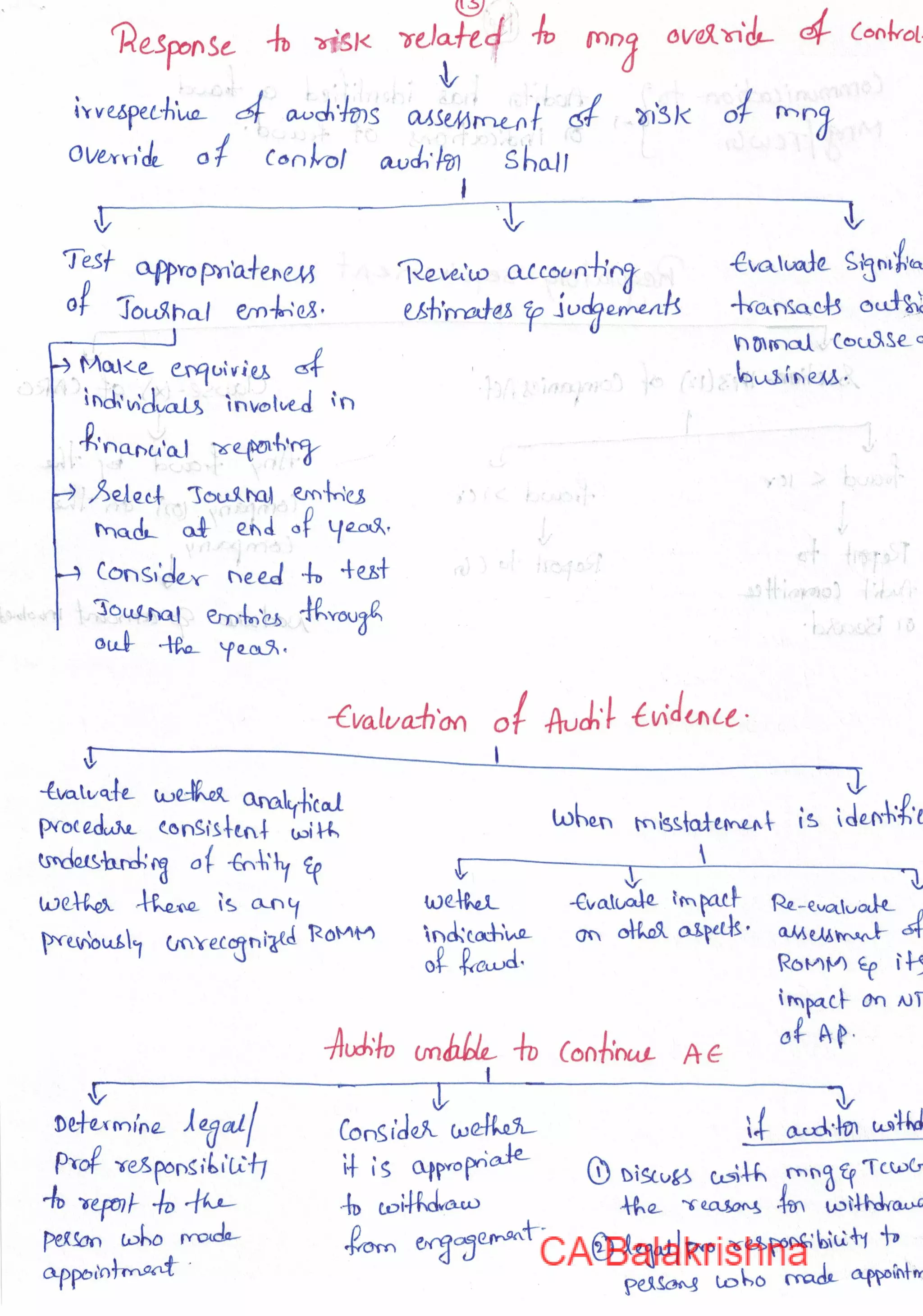 CA Final & Inter Standards on Auditing Handwritten Notes by CA ...