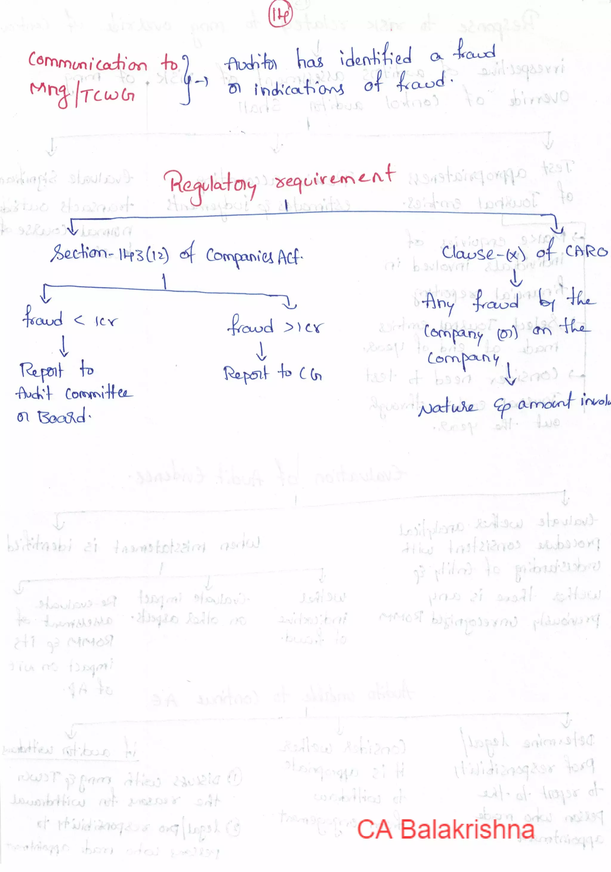 CA Final & Inter Standards on Auditing Handwritten Notes by CA ...