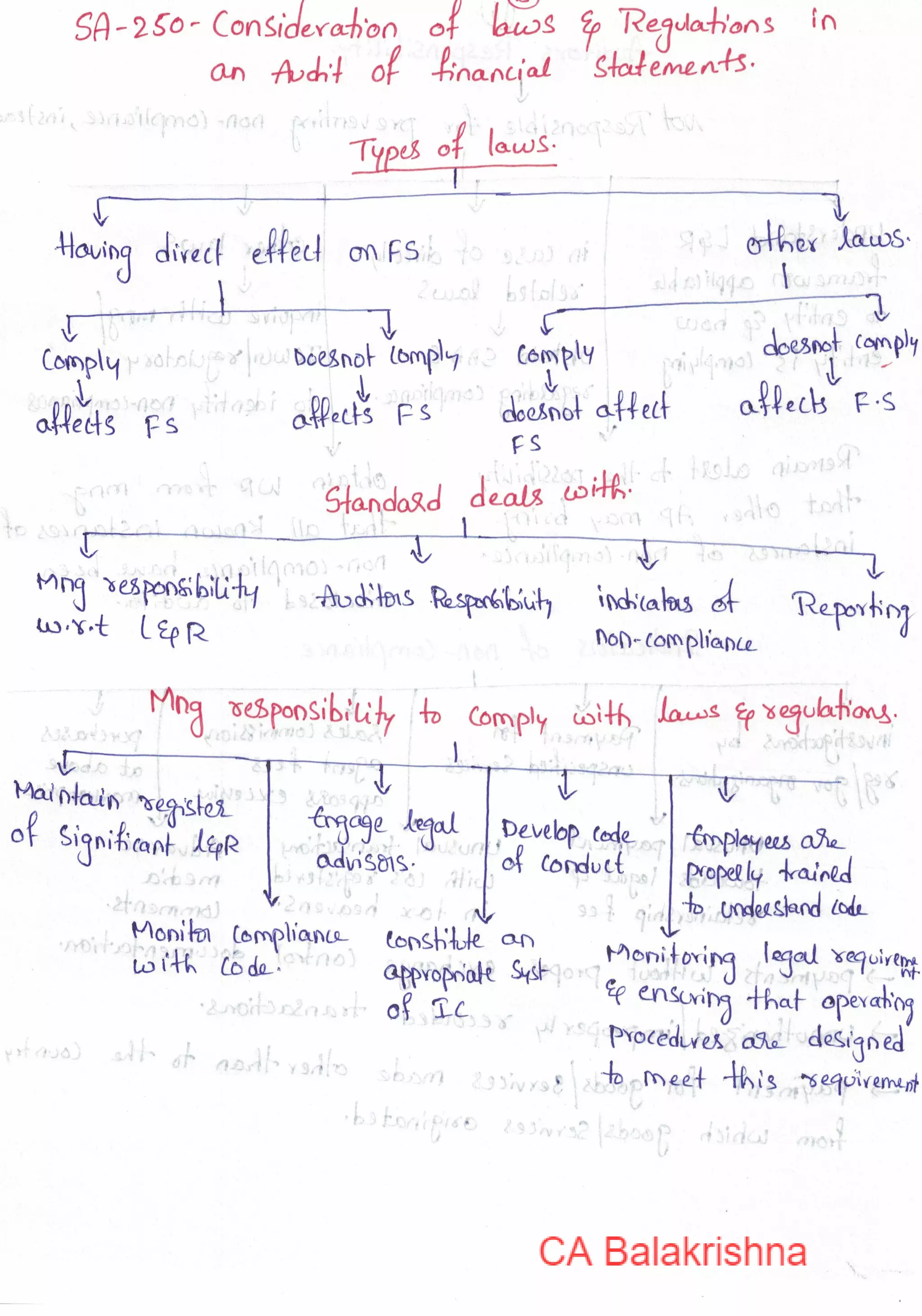 CA Final & Inter Standards on Auditing Handwritten Notes by CA ...