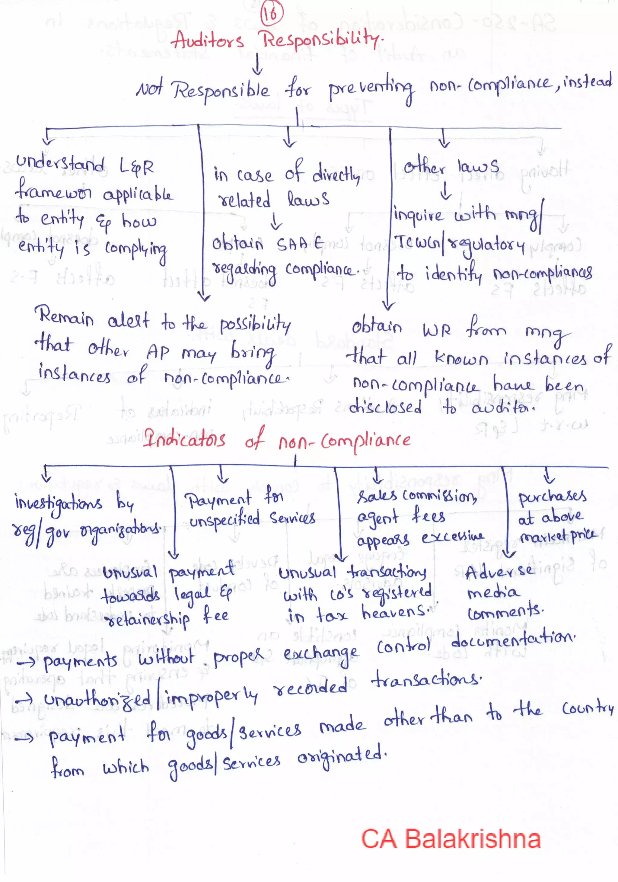 CA Final & Inter Standards on Auditing Handwritten Notes by CA ...