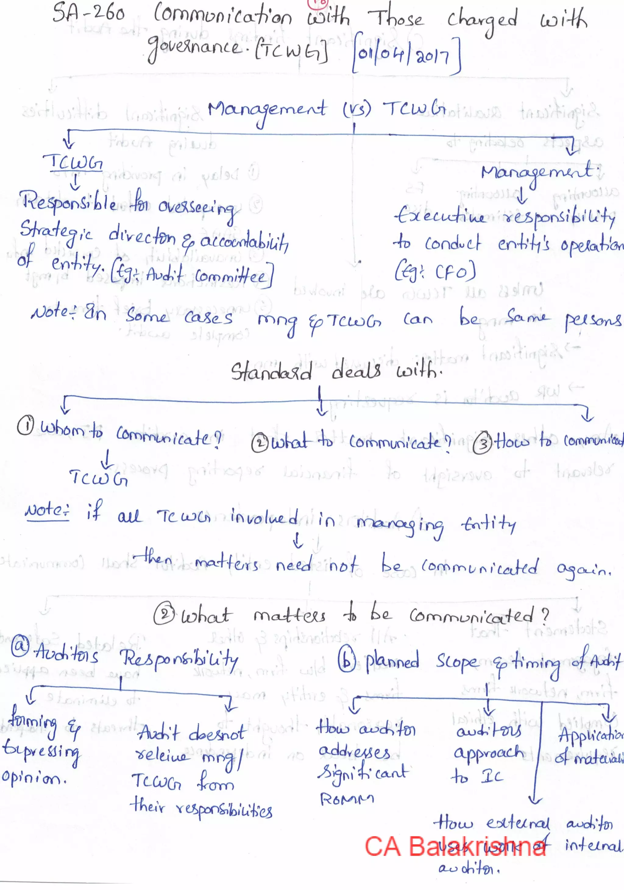 CA Final & Inter Standards on Auditing Handwritten Notes by CA ...