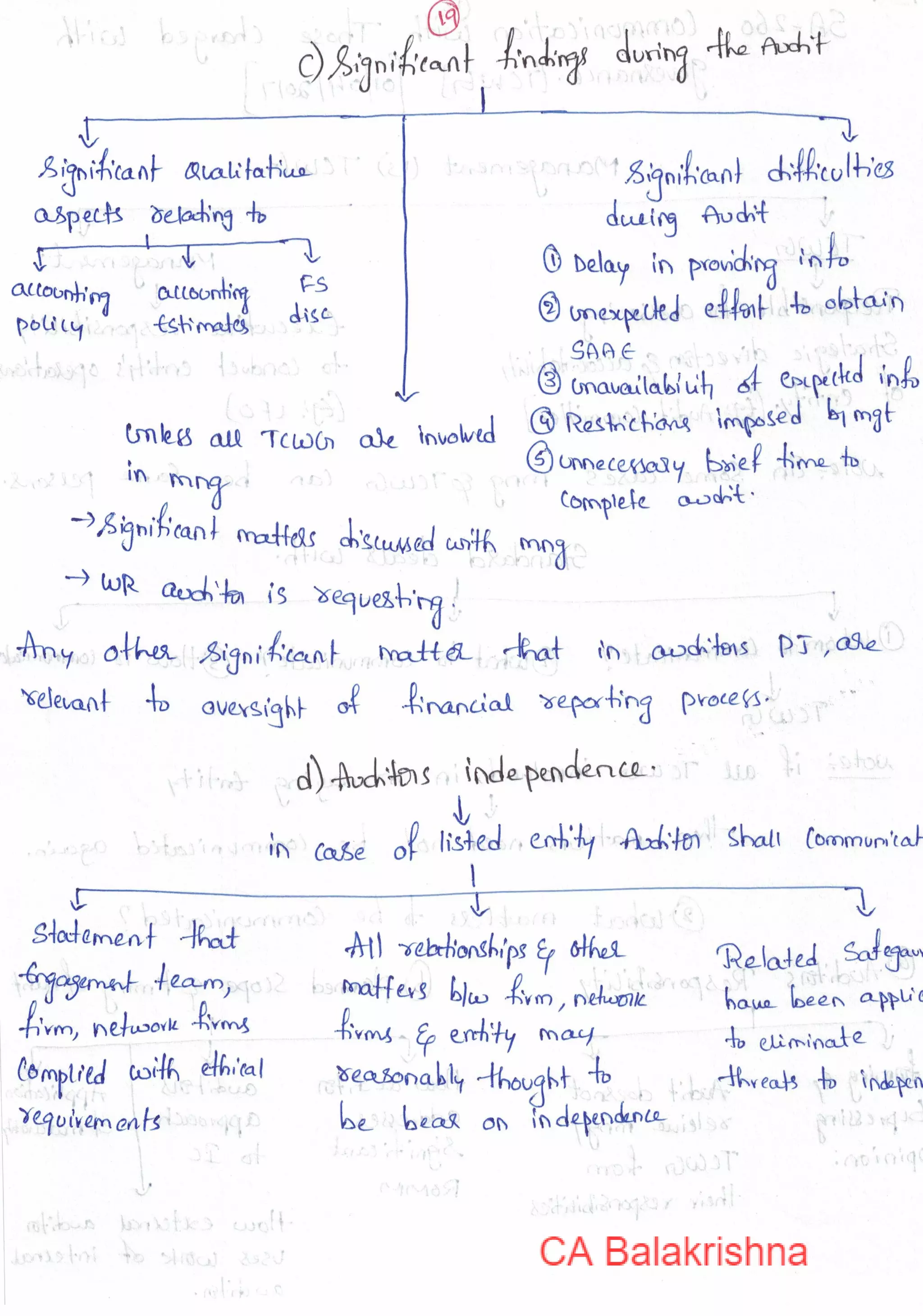 CA Final & Inter Standards on Auditing Handwritten Notes by CA ...