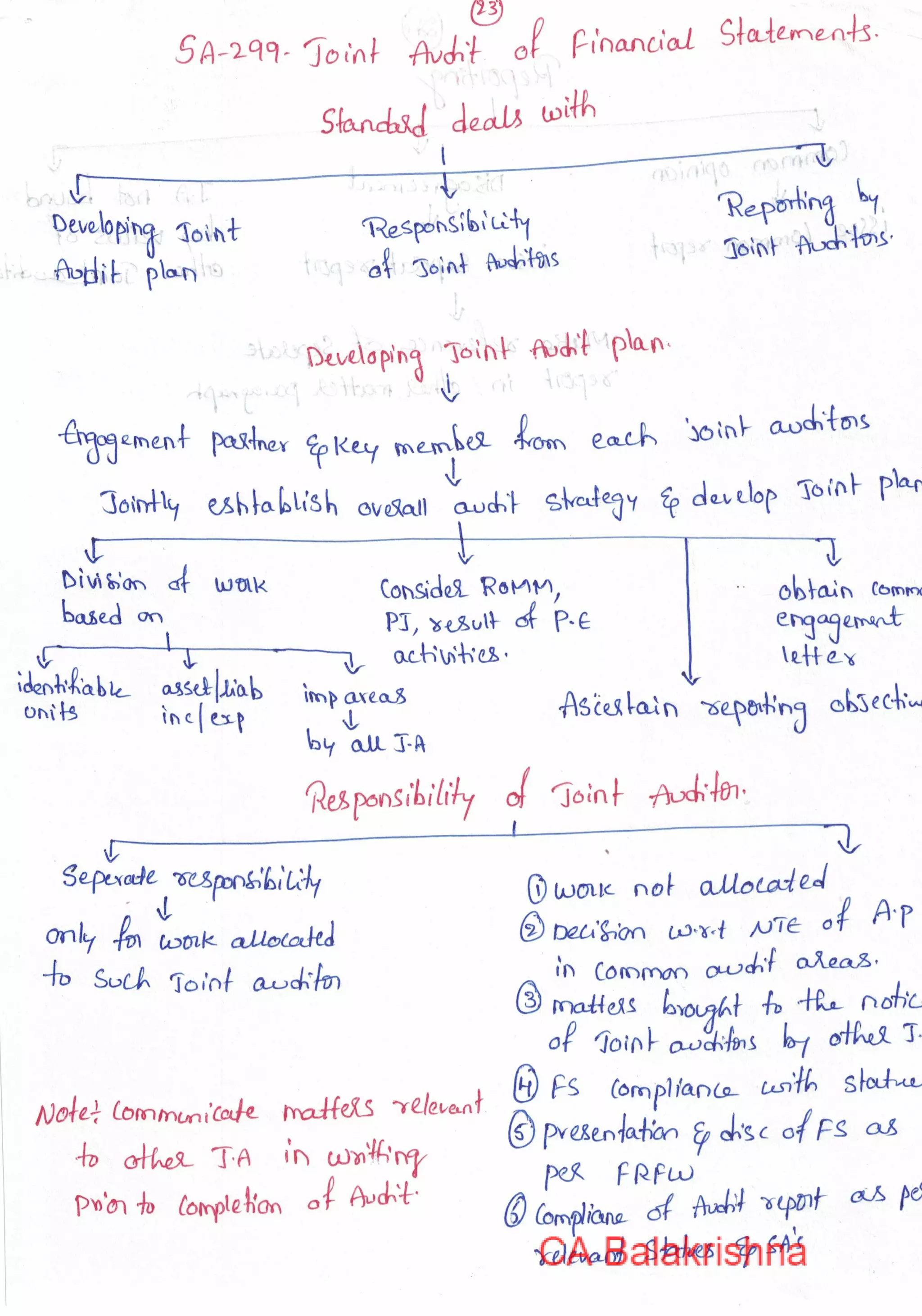 CA Final & Inter Standards on Auditing Handwritten Notes by CA ...