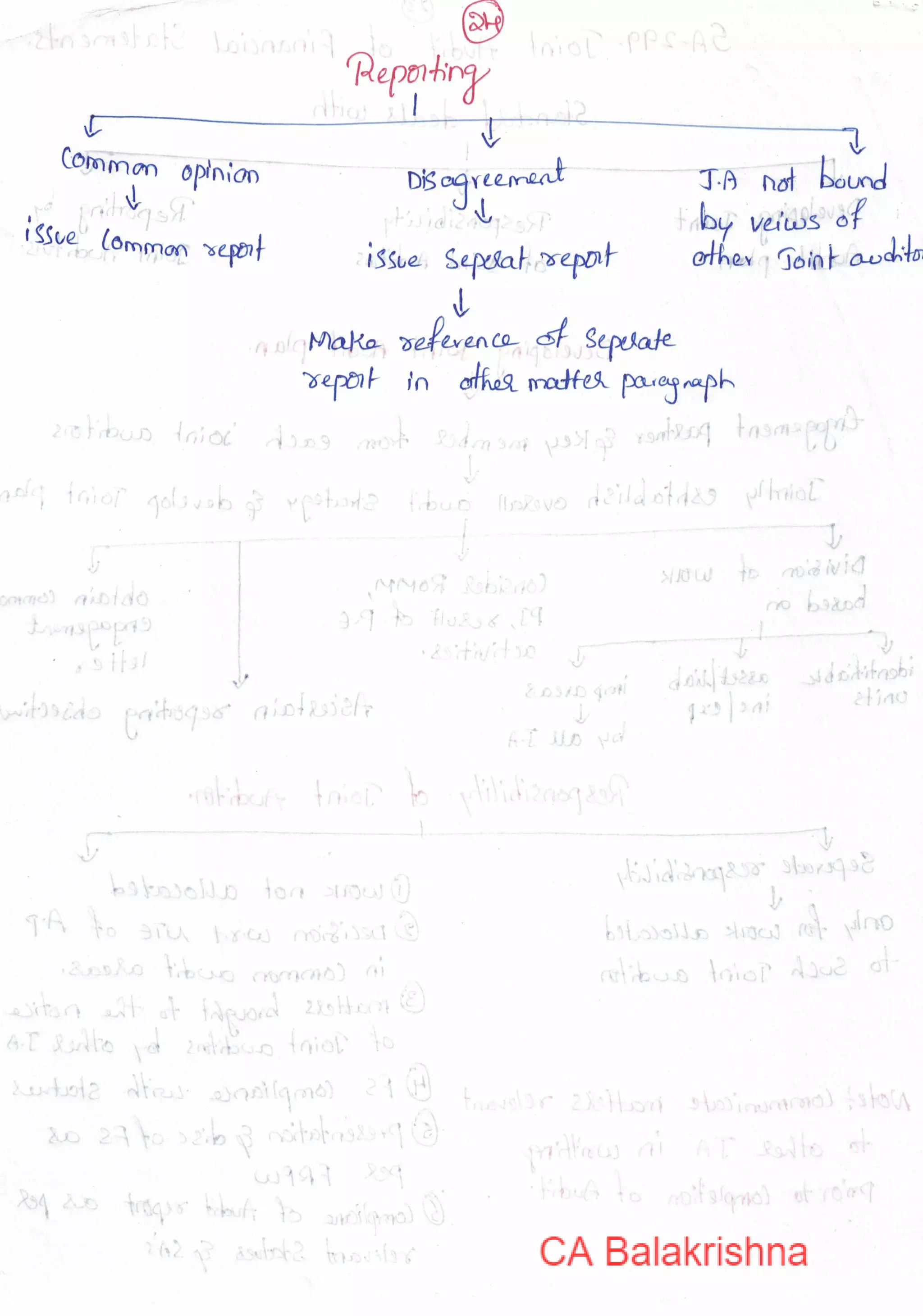 CA Final & Inter Standards on Auditing Handwritten Notes by CA ...