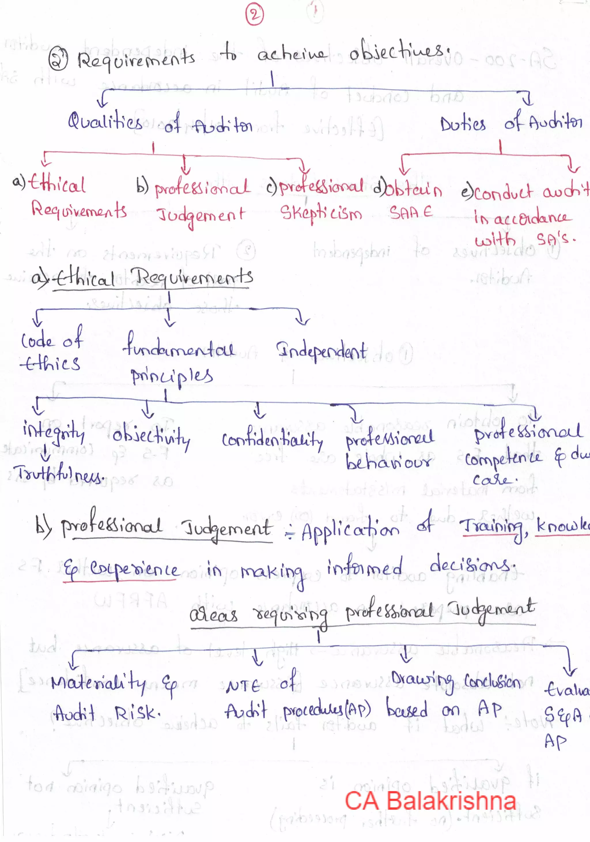 CA Final & Inter Standards on Auditing Handwritten Notes by CA ...