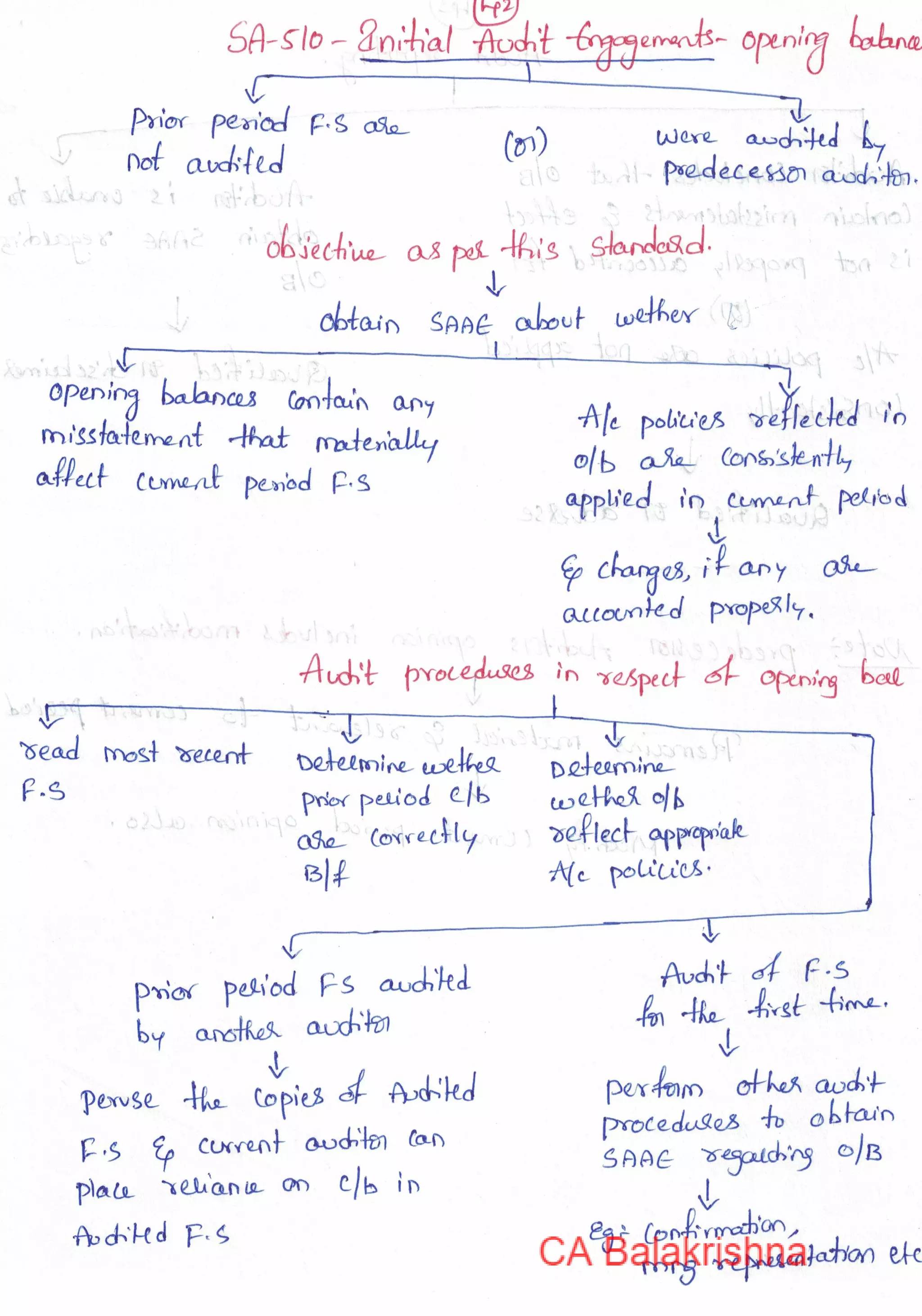 CA Final & Inter Standards on Auditing Handwritten Notes by CA ...