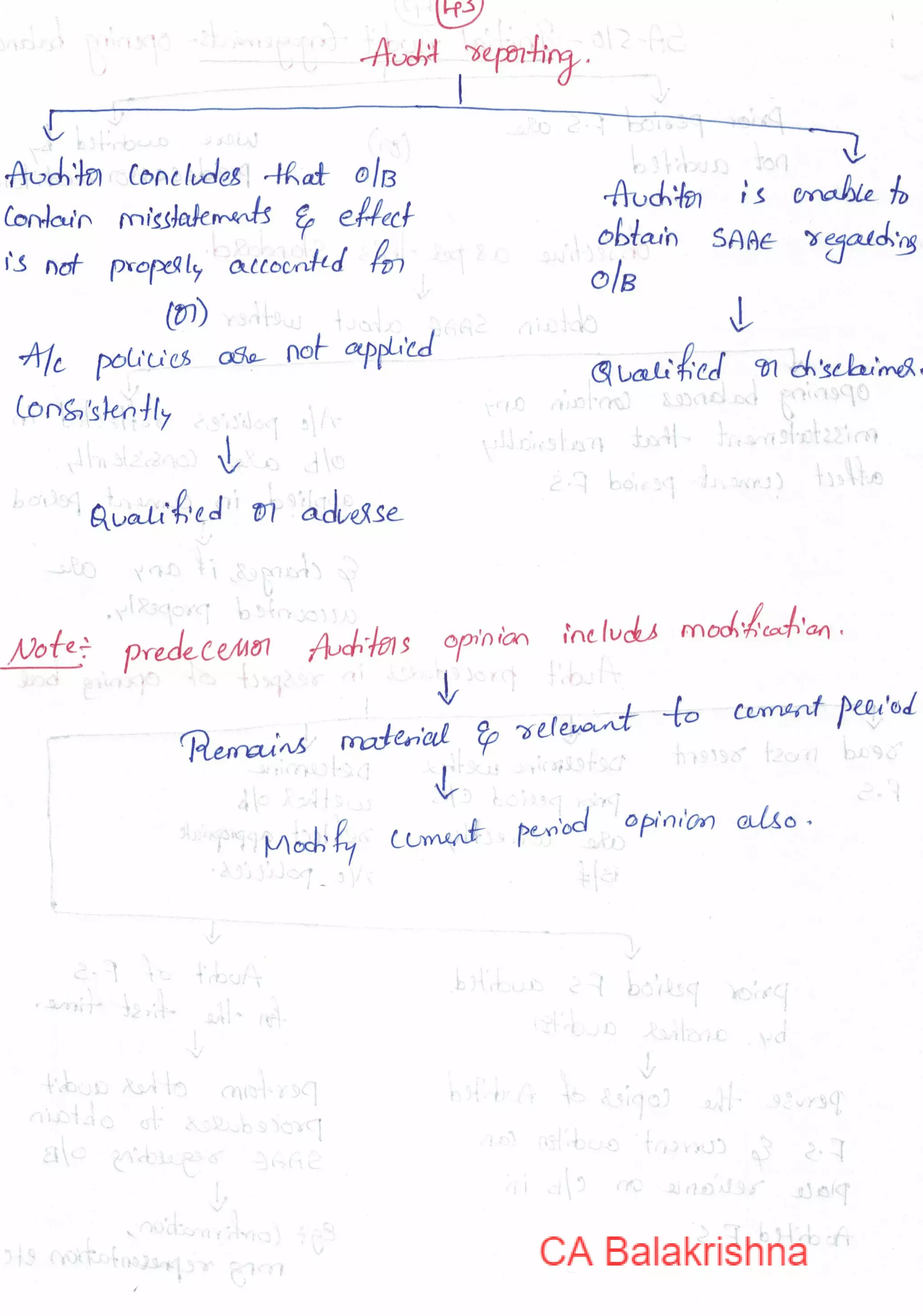 CA Final & Inter Standards on Auditing Handwritten Notes by CA ...