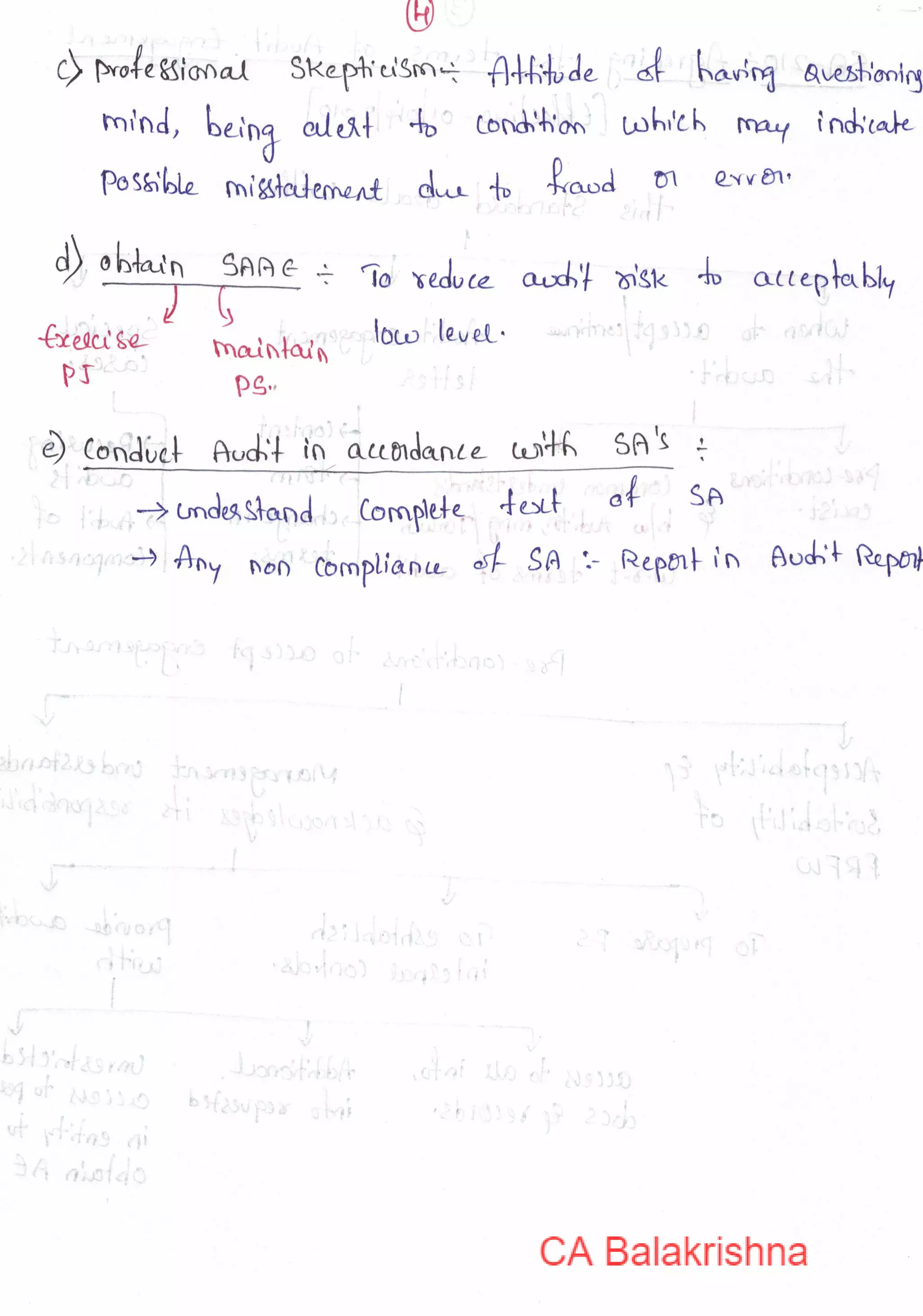 CA Final & Inter Standards on Auditing Handwritten Notes by CA ...