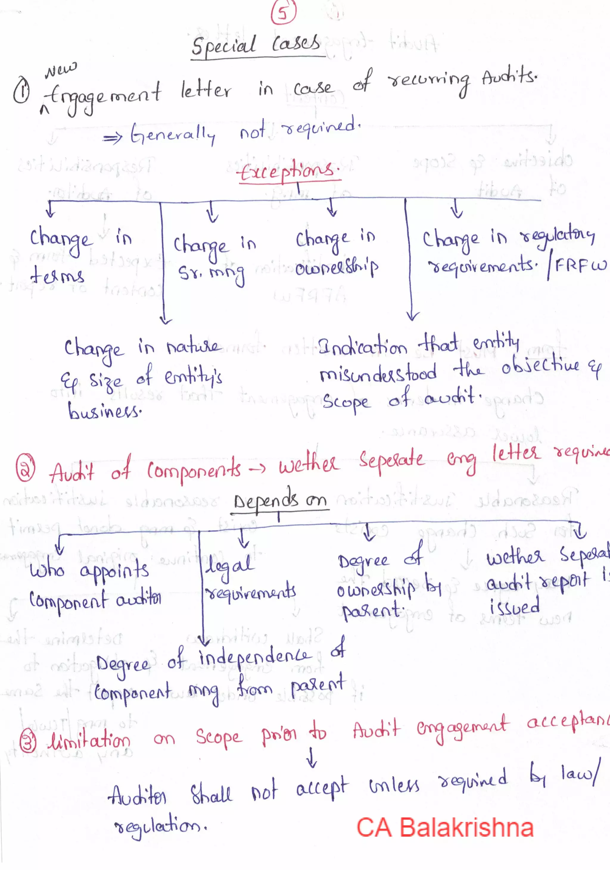 CA Final & Inter Standards on Auditing Handwritten Notes by CA ...