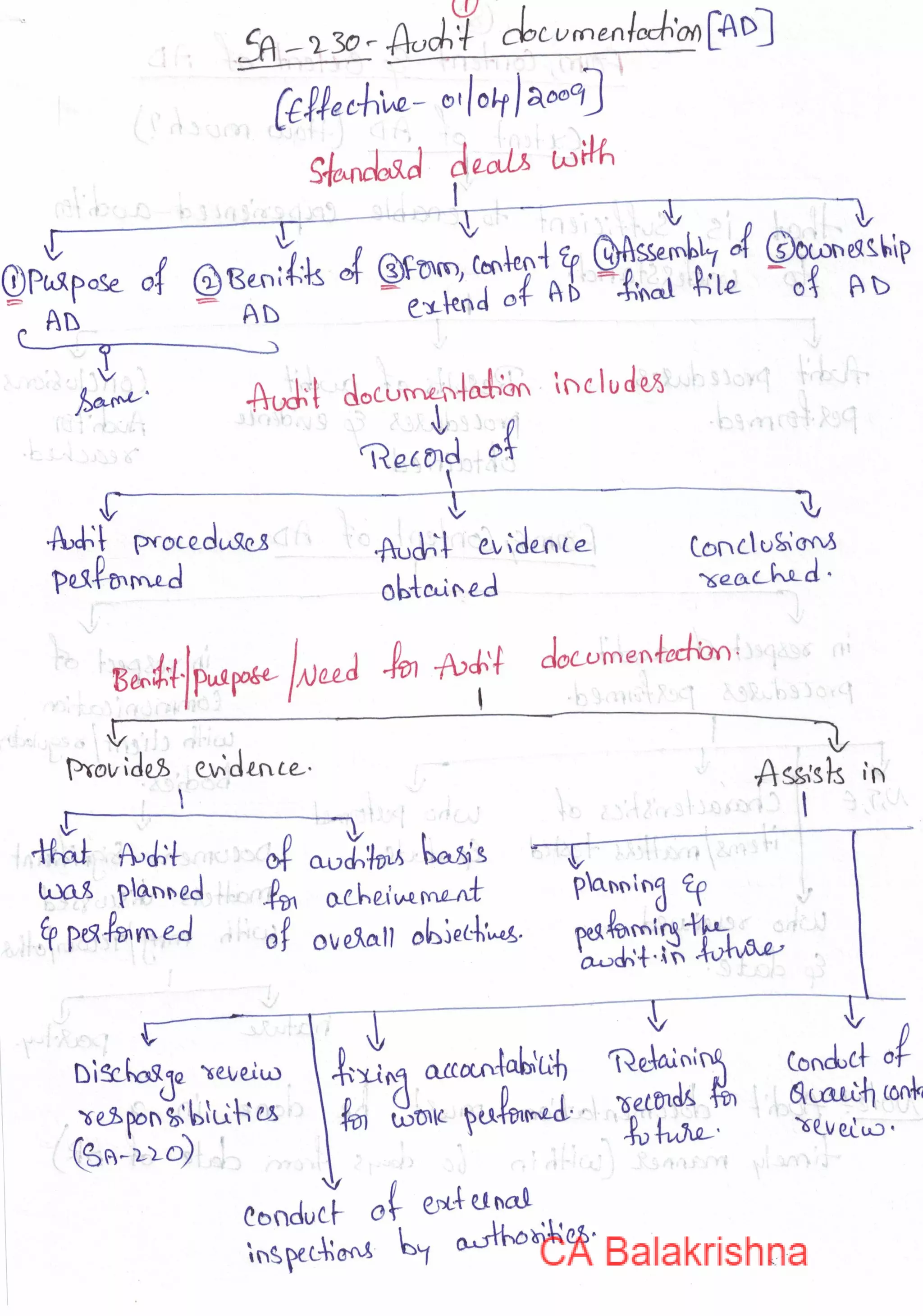 CA Final & Inter Standards on Auditing Handwritten Notes by CA ...