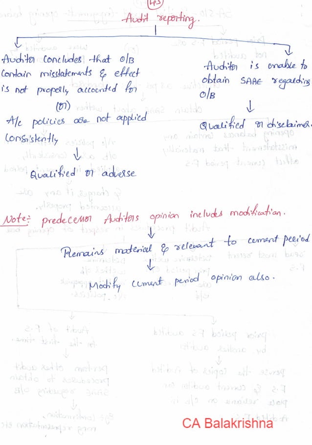 CA Final & Inter Standards on Auditing Handwritten Notes by CA ...