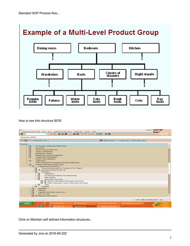 SAP SOP process flow for production process | PDF