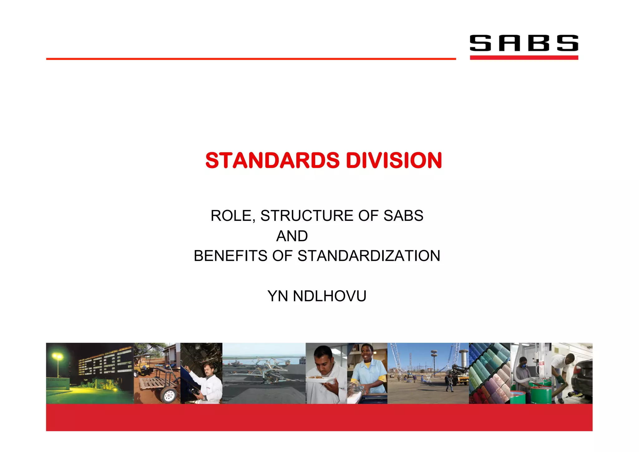 Standards process development & benefits | PDF