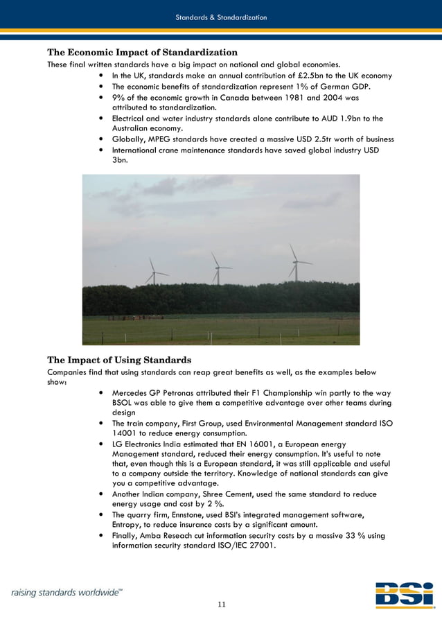 Standards & standardization handout | PDF