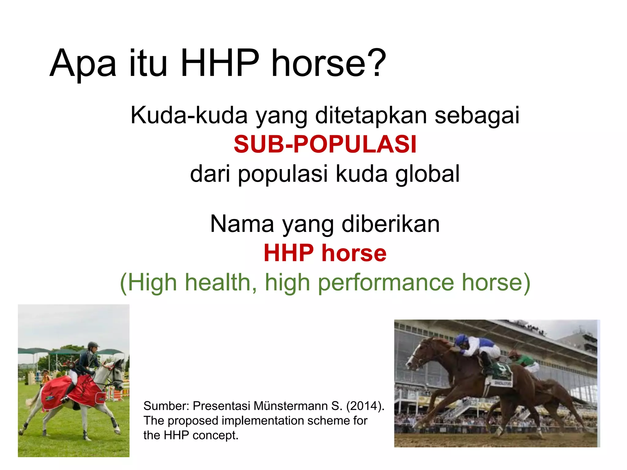Standar OIE: Lalu Lintas Kuda "HHHP" - Pusat KH dan Kehani, BARANTAN, 8 ...