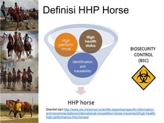 Standar OIE: Lalu Lintas Kuda "HHHP" - Pusat KH dan Kehani, BARANTAN, 8 ...