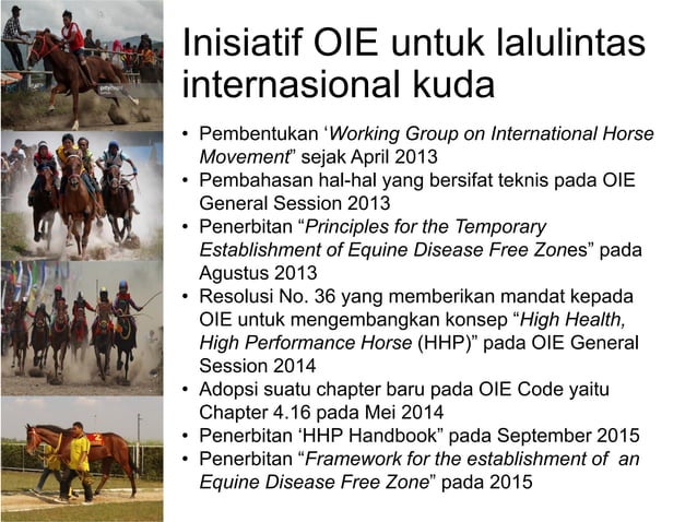 Standar OIE: Lalu Lintas Kuda "HHHP" - Pusat KH dan Kehani, BARANTAN, 8 ...
