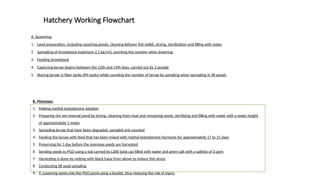 Standart Operating Protocol_Hatchery Working Flowchart.pptx