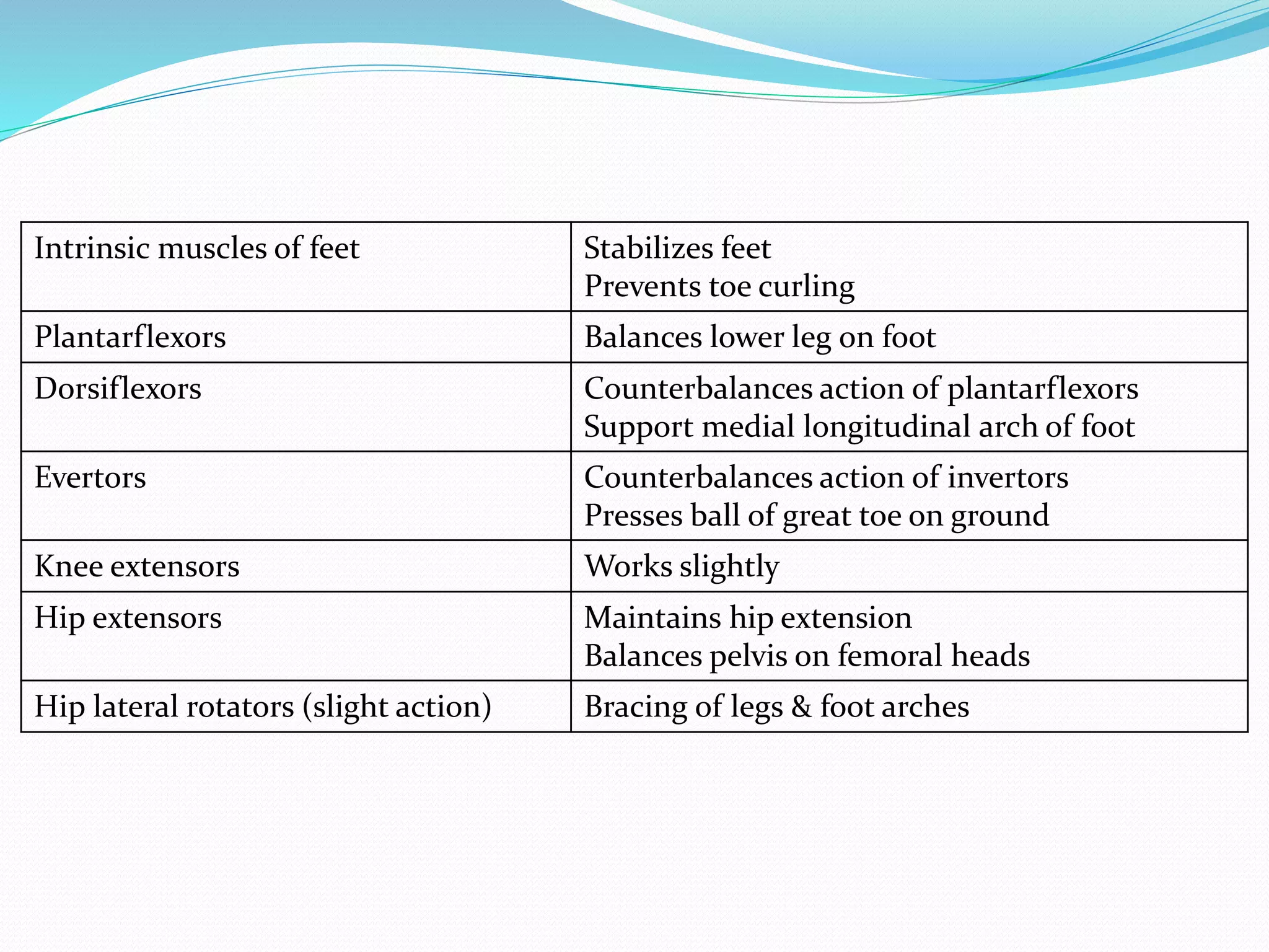 Standing fundamental position | PPTX