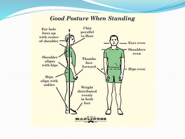 Standing fundamental position | PPTX | Physical Therapy | Wellness