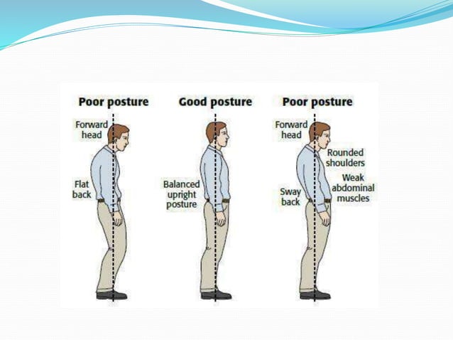 Standing fundamental position | PPTX | Physical Therapy | Wellness