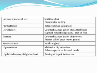 Standing fundamental position | PPTX