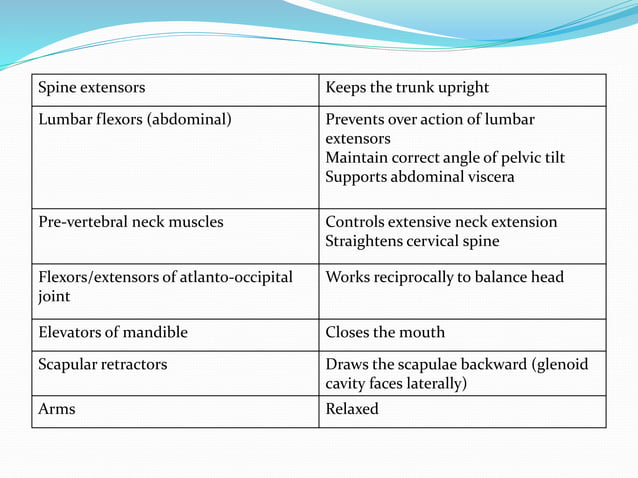 Standing fundamental position | PPTX | Physical Therapy | Wellness