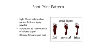 Standing and Weight bearing.pptx