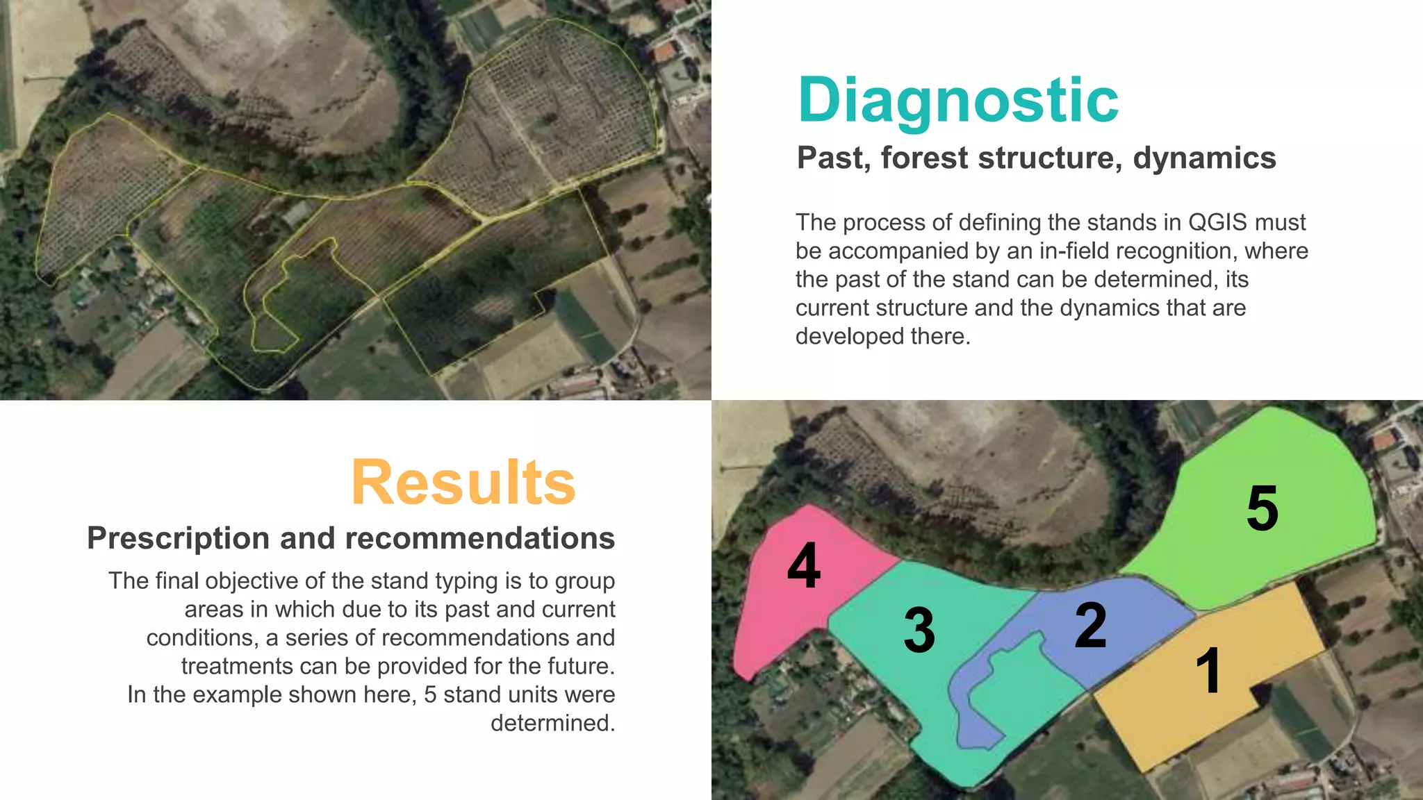 Forest Stand Typing | PPTX | Gardening | Home & Garden