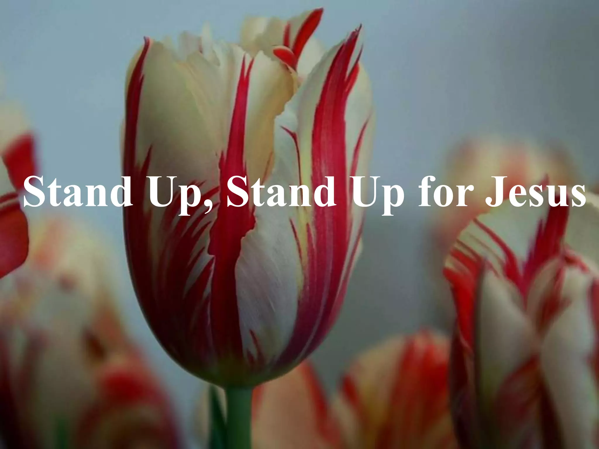 Stand Up Stand Up for Jesus | PPTX